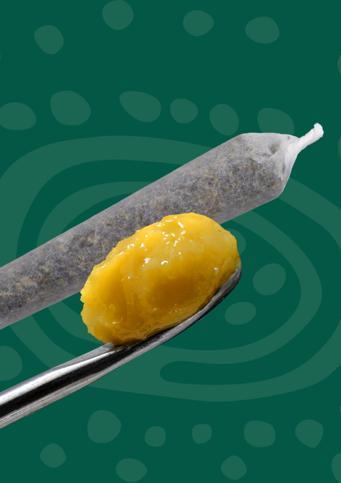 Barbara Bud Live Rosin Infused Pre-Roll - Great Gardener Farms