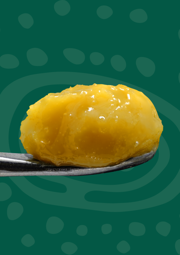 Barbara Bud Cold-Cured Live Rosin - Great Gardener Farms